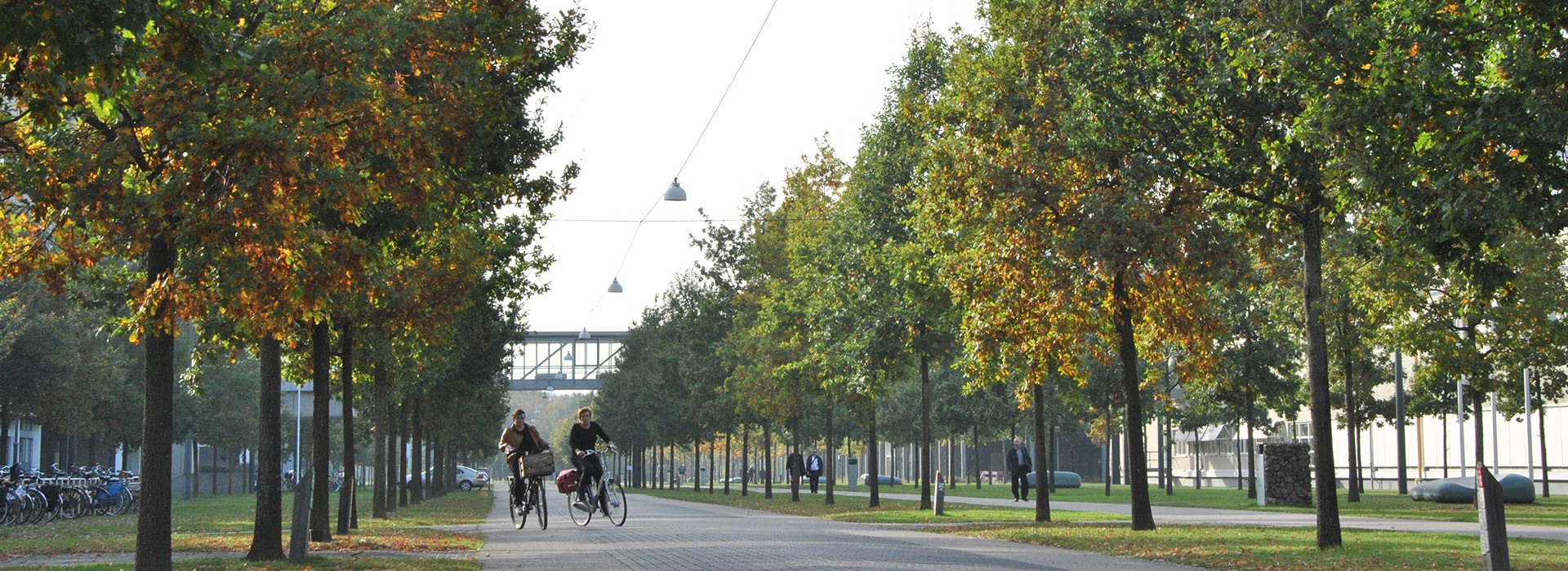 Philips High Tech Campus - Eindhoven