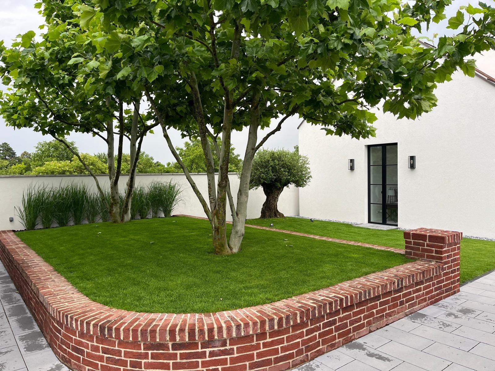 Private garden with Plane trees