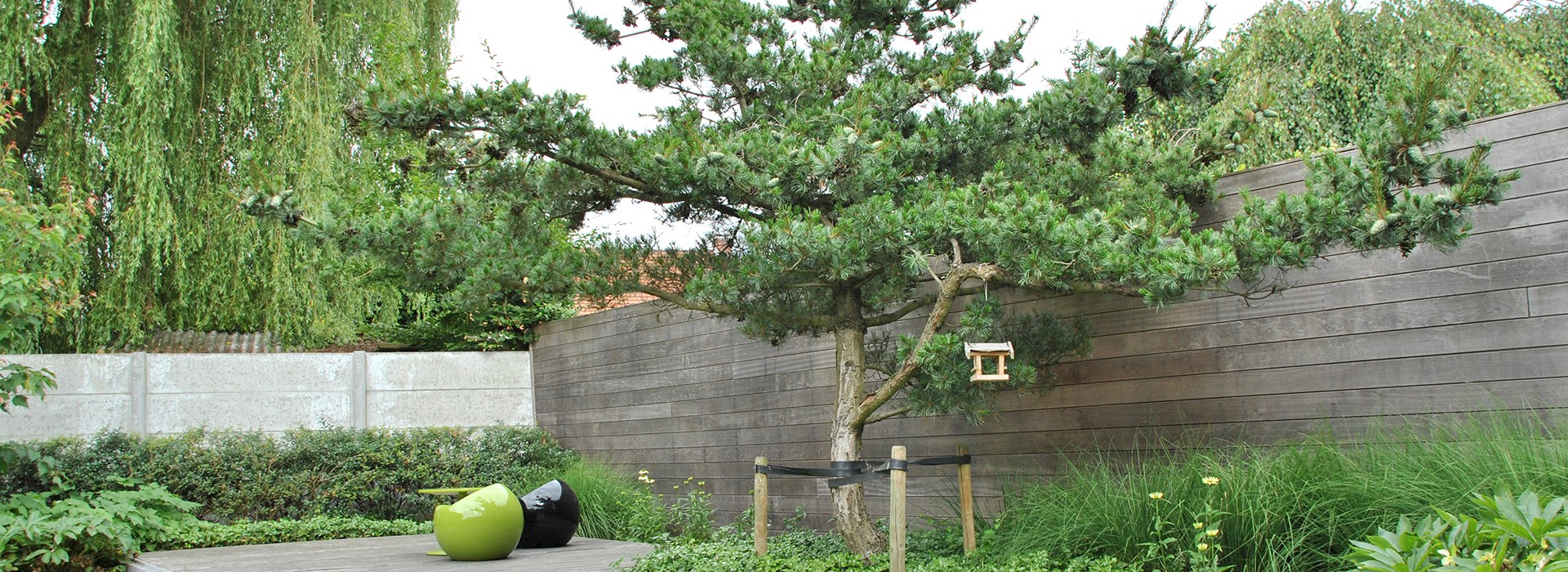 Private garden with distinctive species