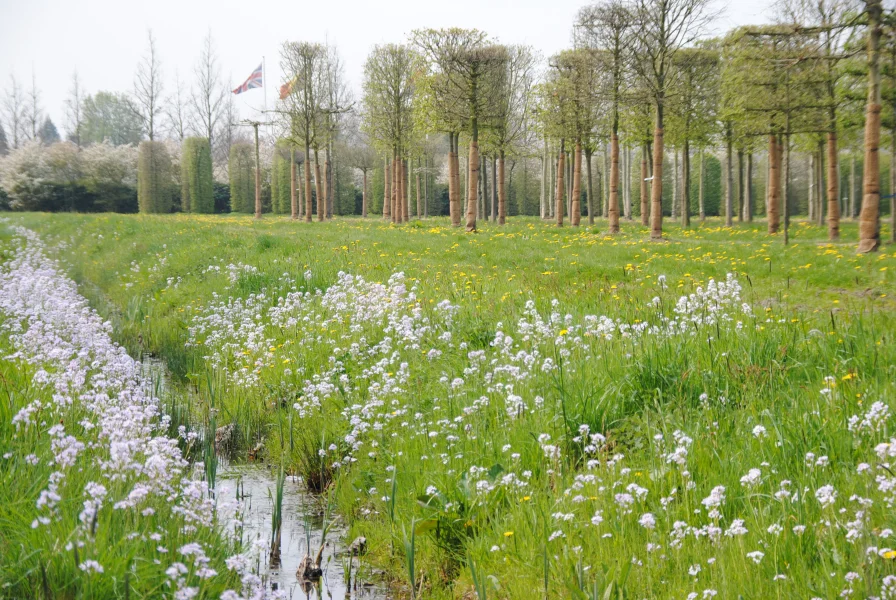 Nature regulates much crop protection itself