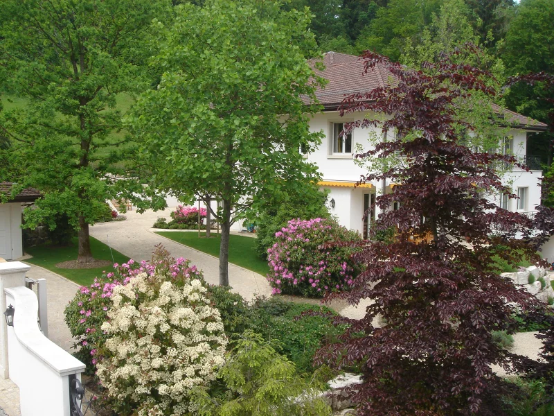 Exclusive trees for private gardens