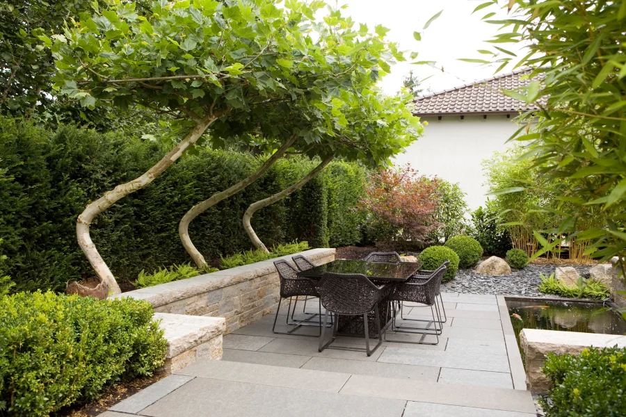 Exceptional trees for small gardens Read our tips!